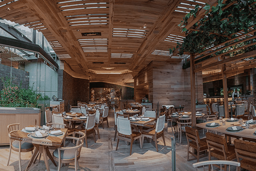 Top 10 de restaurantes en Polanco y sus características